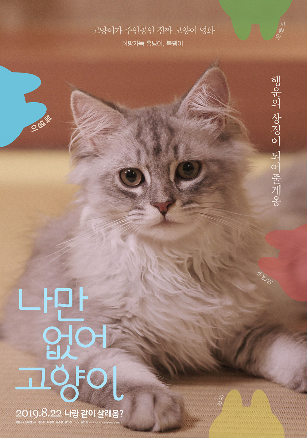 나만 없어 고양이 (Hello, My Cat) 상세정보 | 씨네21