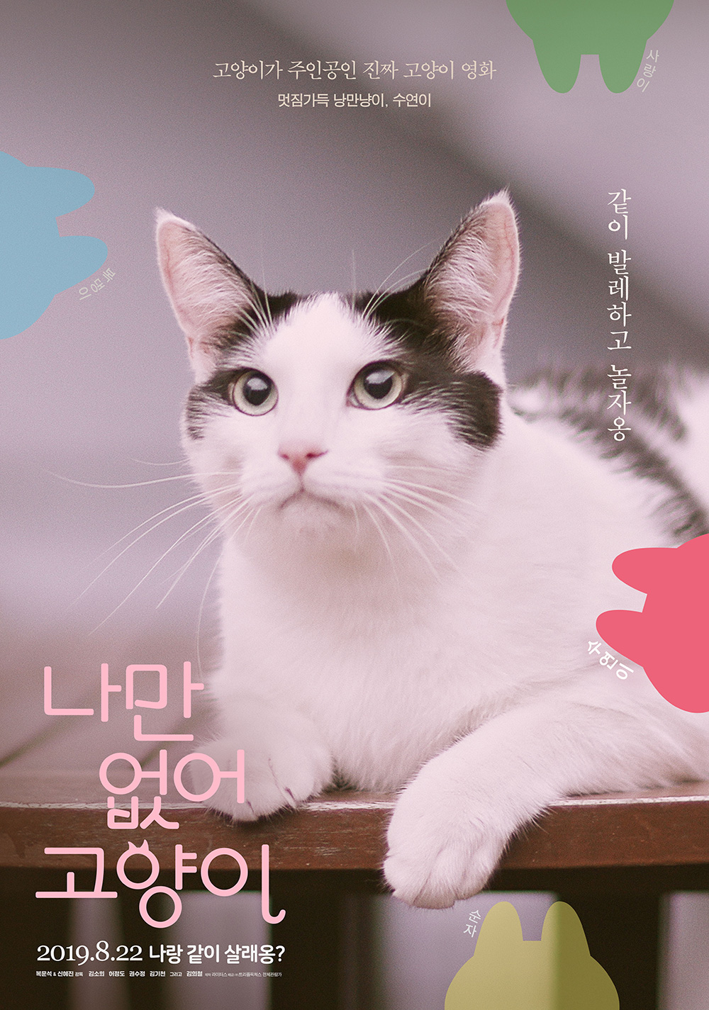 나만 없어 고양이 (Hello, My Cat) 상세정보 | 씨네21