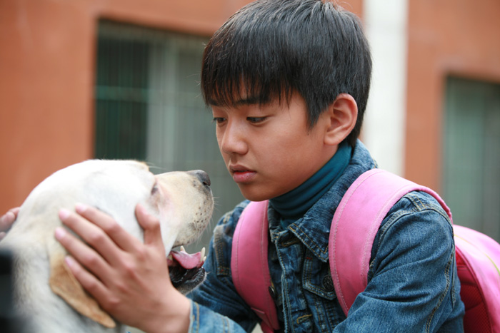 마음이... (Hearty Paws) 상세정보 | 씨네21