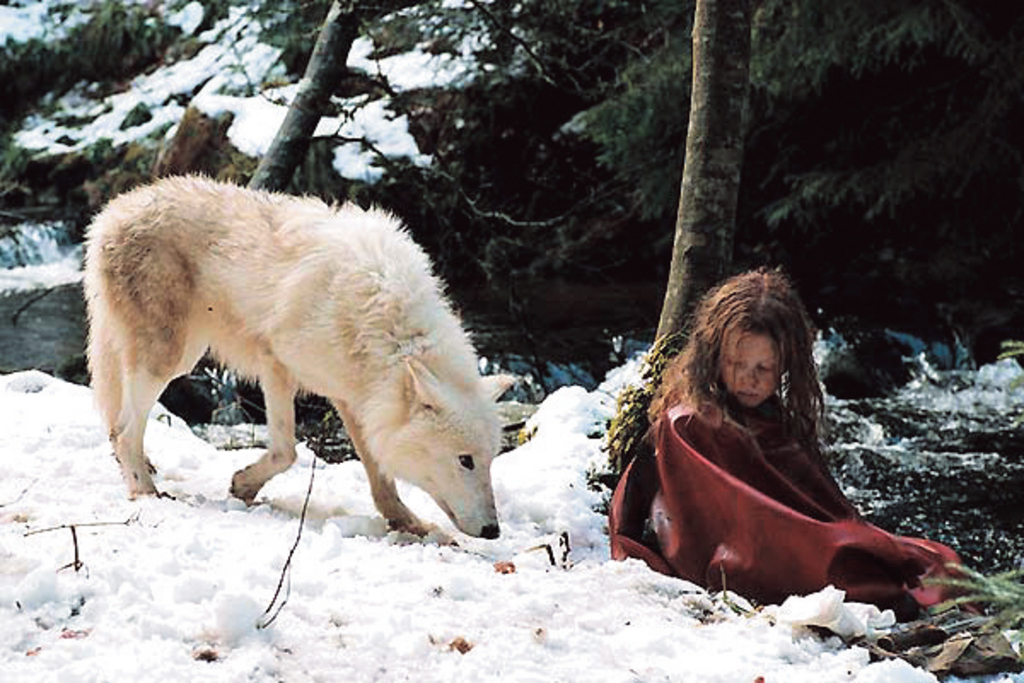 늑대들과 함께 살아남기 (Surviving with Wolves) 상세정보 | 씨네21