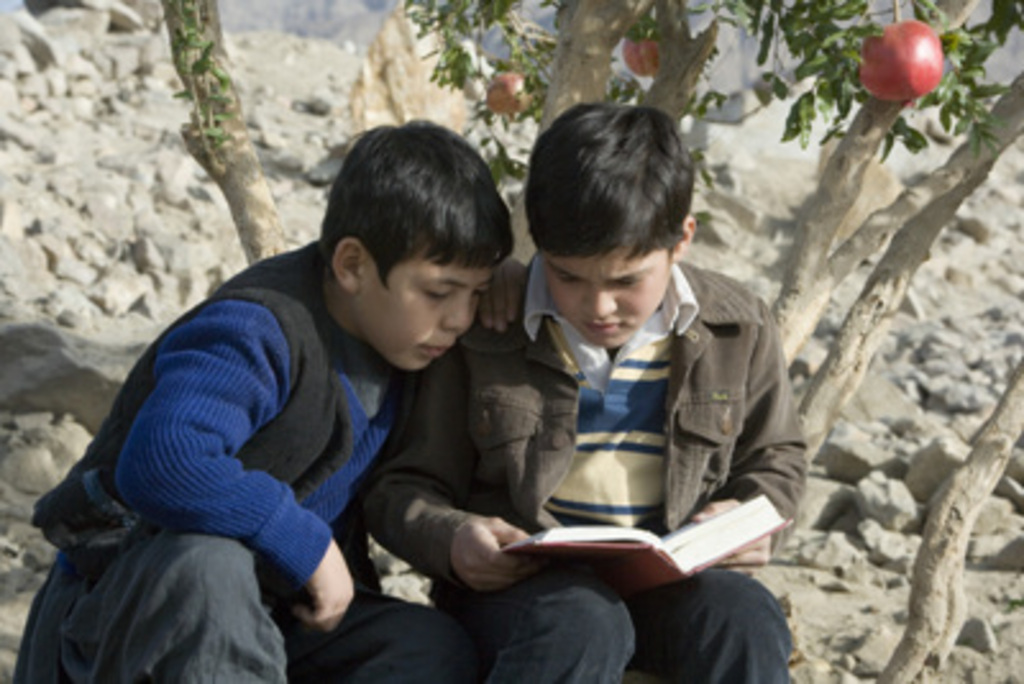 연을 쫓는 아이 (The Kite Runner) 상세정보 | 씨네21