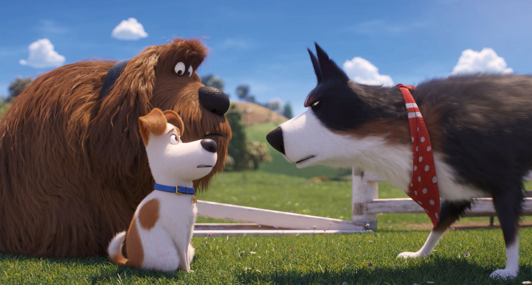 마이펫의 이중생활2 (The Secret Life of Pets 2) 상세정보 | 씨네21