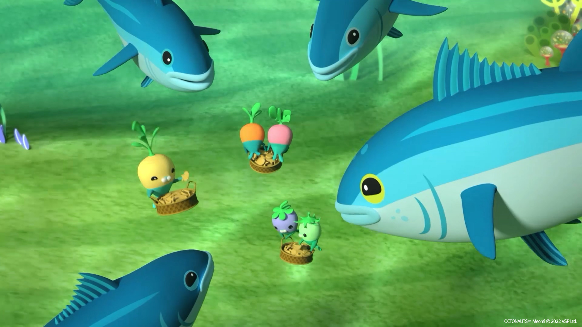 바다 탐험대 옥토넛: 탐험선 대작전 (Octonauts – Season 5) 상세정보 | 씨네21