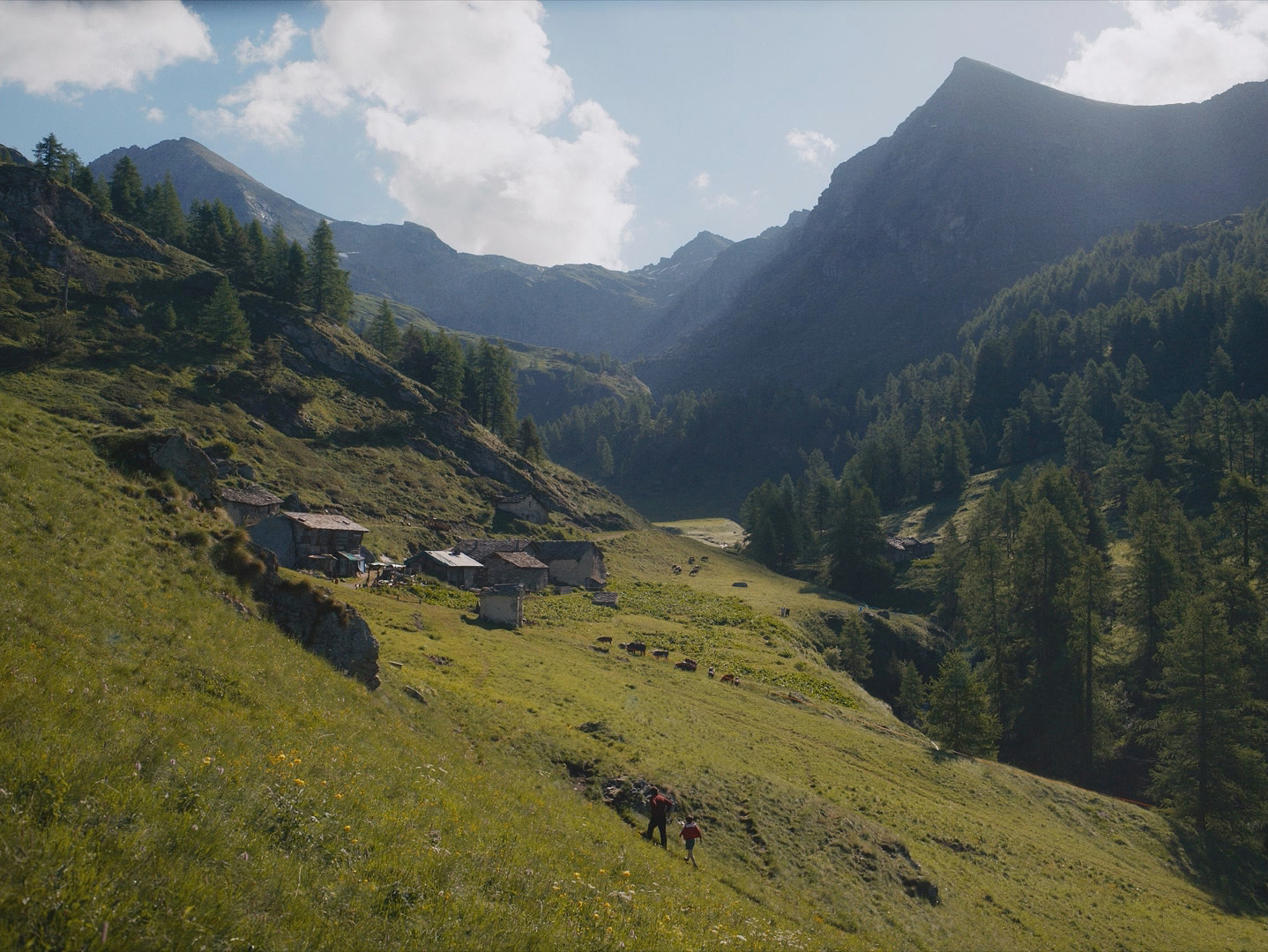 여덟 개의 산 (The Eight Mountains) 상세정보 | 씨네21